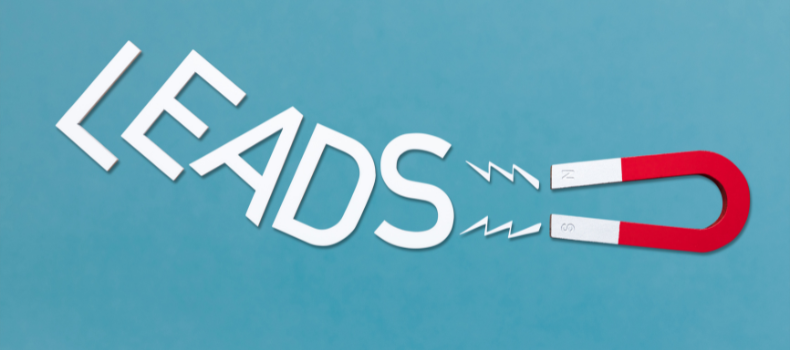 8 Lead Magnets to Grow Your Email List - Dash of Social®